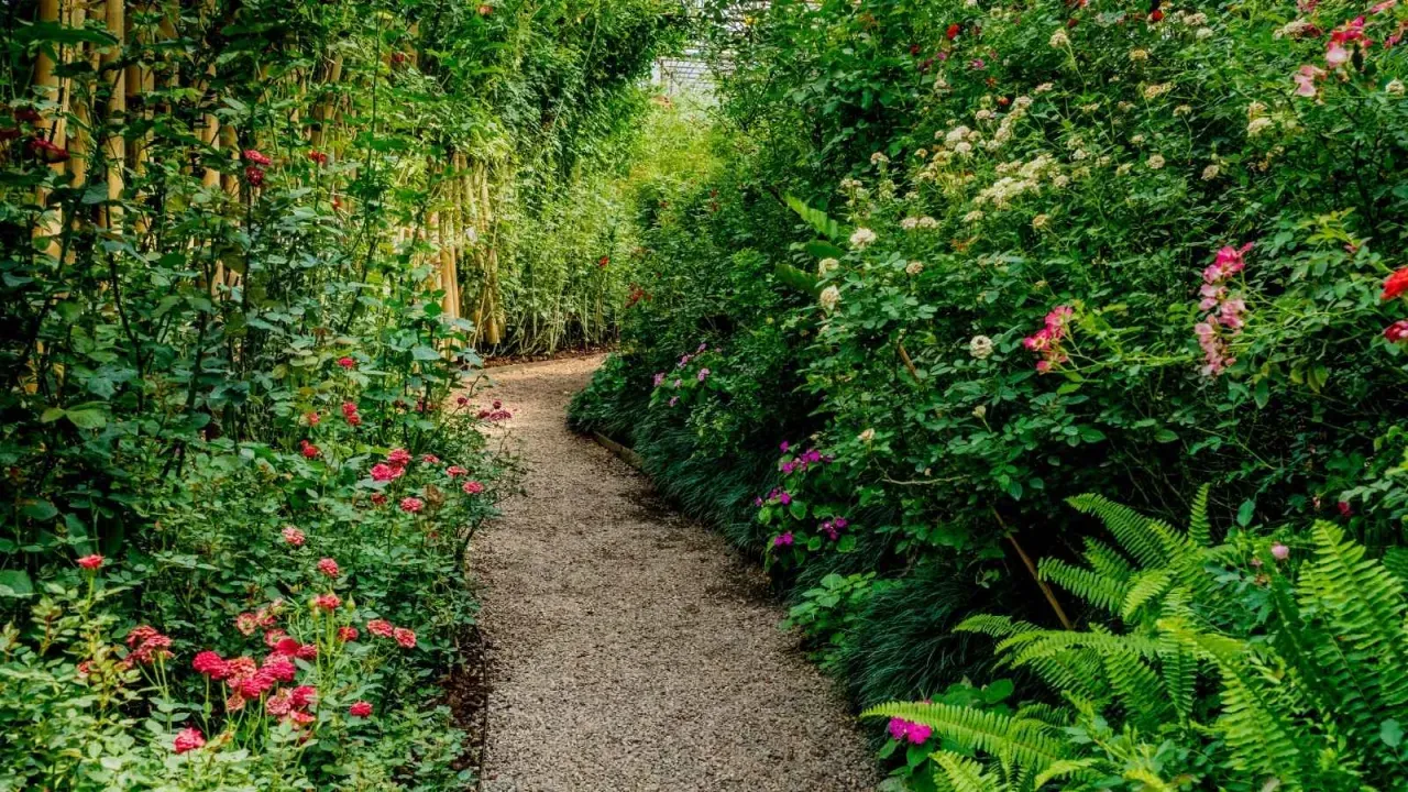 Budget-Friendly Landscaping Ideas: Transform Your Outdoor Space ...